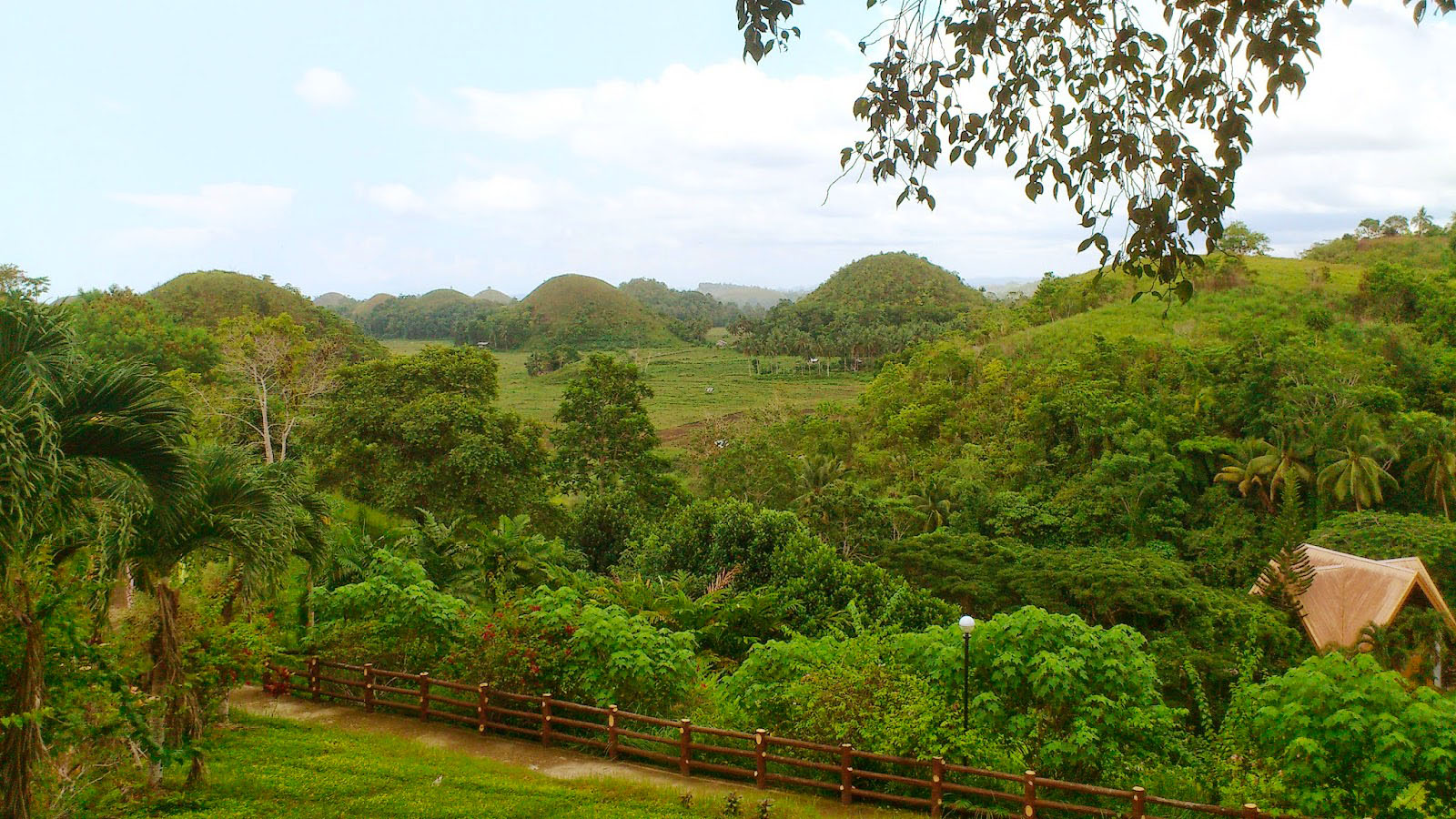 Sagbayan Peak: When Bohol Meets Baguio - Red Maleta